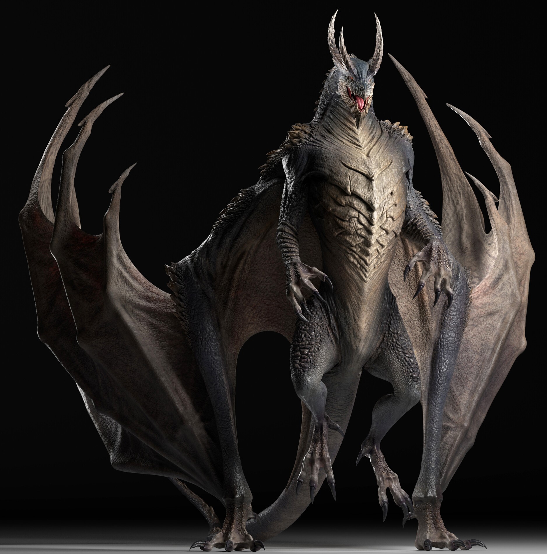 Ani-Dragon - LIMELIGHT